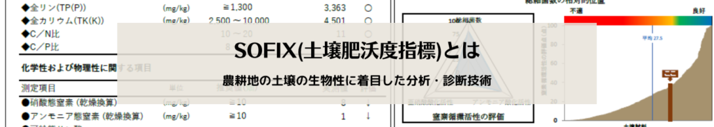 SOFIXとは – ソイル・コミュニケーション合同会社