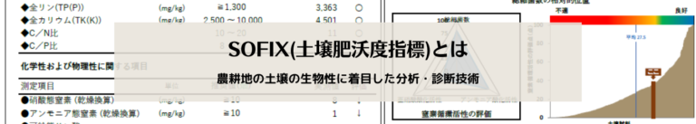 SOFIXとは – ソイル・コミュニケーション合同会社