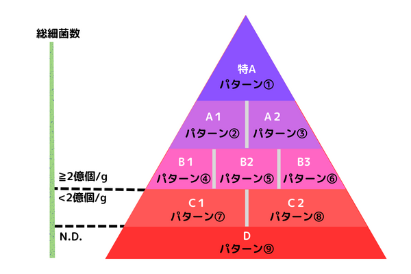 SOFIXとは – ソイル・コミュニケーション合同会社